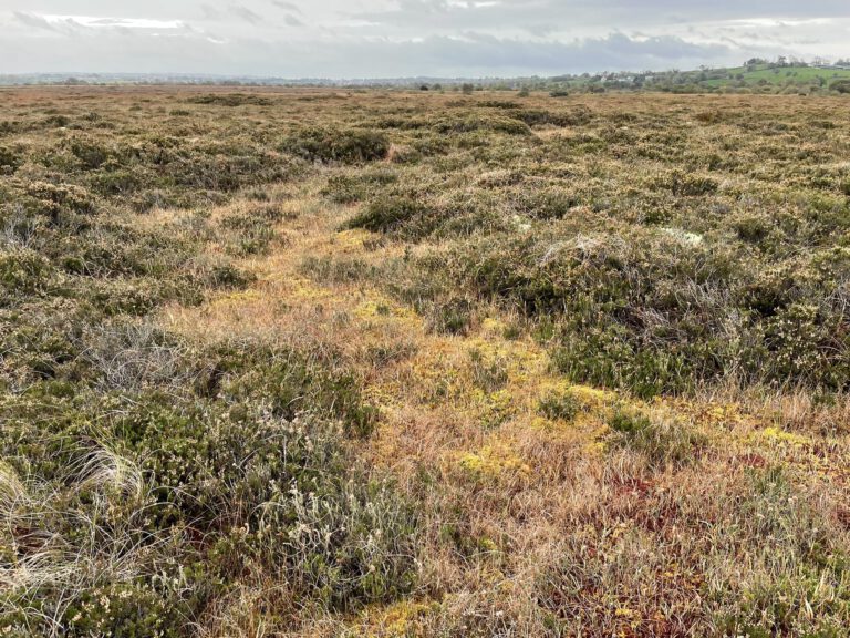 National Vegetation Classification (NVC) | Styles Ecology