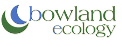 Ecological Consultancy | Biodiversity & Ecological Consultant | Styles ...